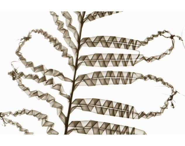 STUMPED - Gotham Notting Hill