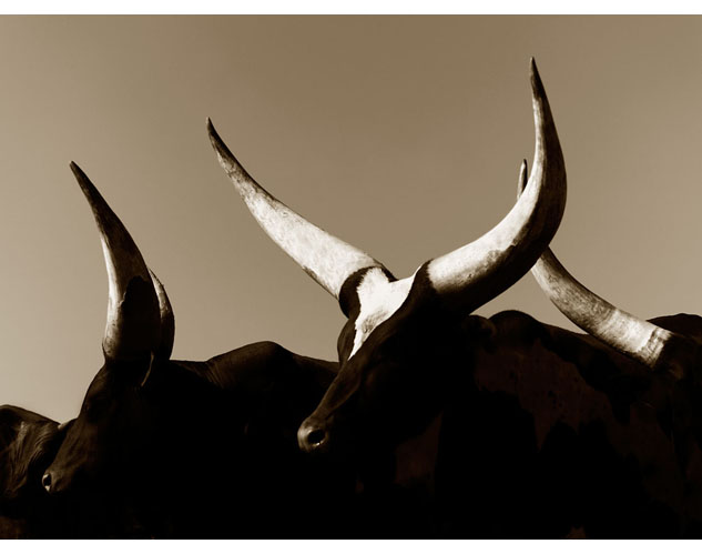 ANKOLE 2 - Gotham Notting Hill